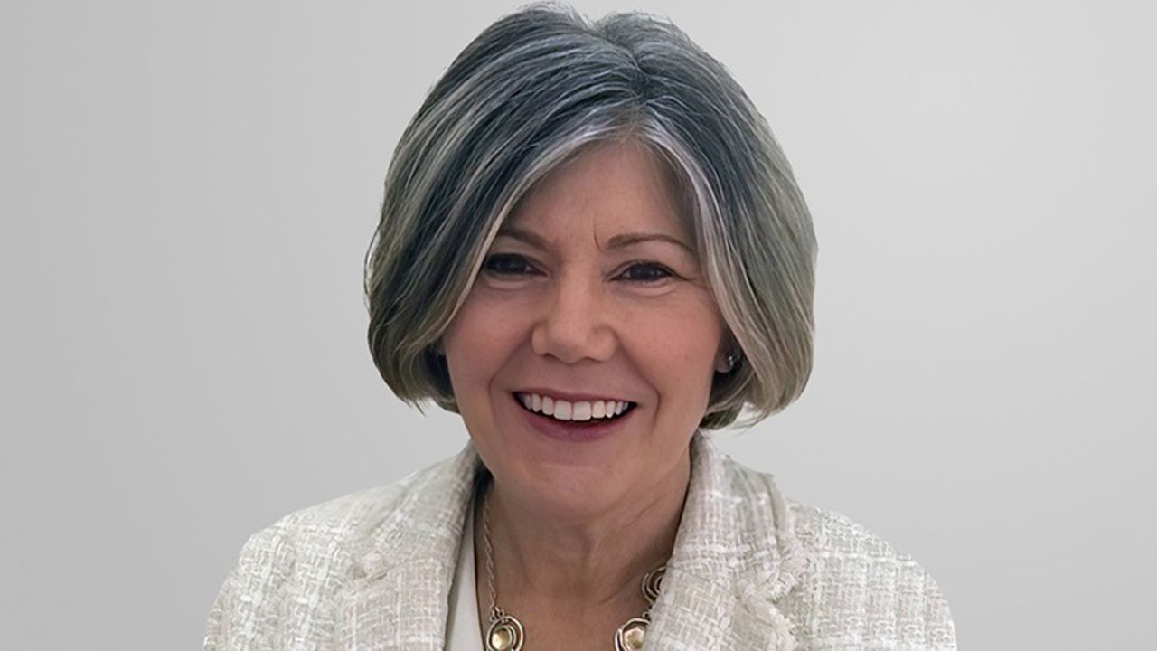 Hamilton replaces CEO of its E&S carrier | Bermuda Re